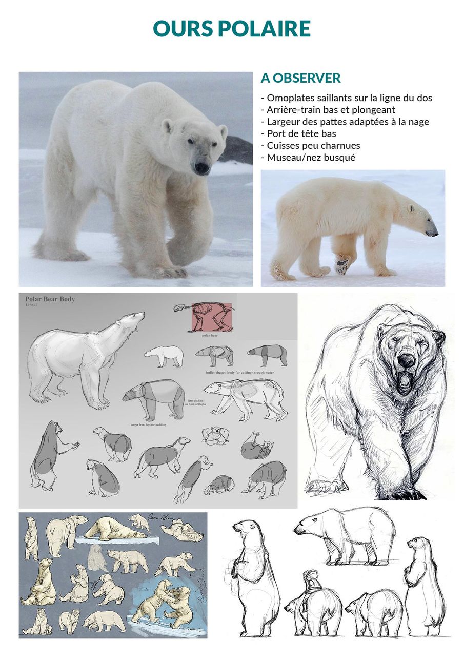 Les Tutos d’Anne CORRE - APSL 53 Laval - Mayenne - France